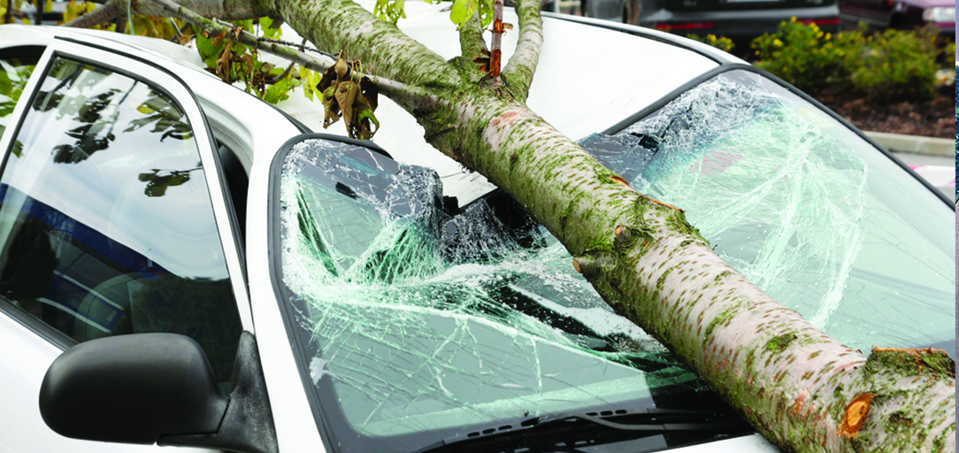 Extreme Cases of Windshield Damage